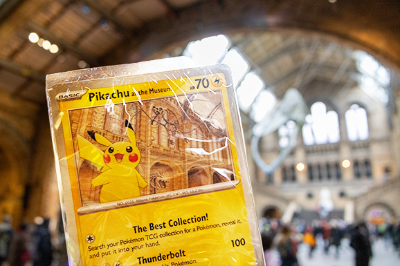 Experiencing the Pokémon × Natural History Museum Pop-Up Shop | Pokemon.com