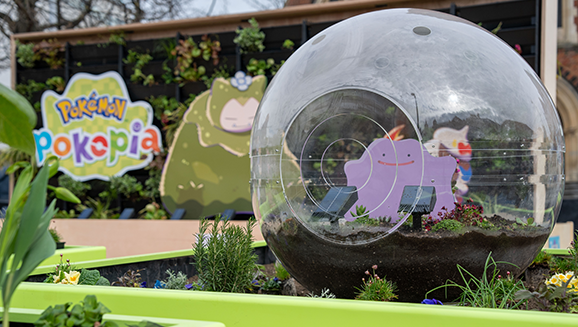 Celebrate Pokémon Pokopia by Visiting Beautiful Pokopia Gardens ...