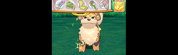 The First-Timer’s Guide to the Alola Region | Pokemon.com