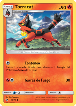 Torracat | Pokédex