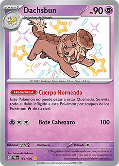 Dachsbun | Pokédex