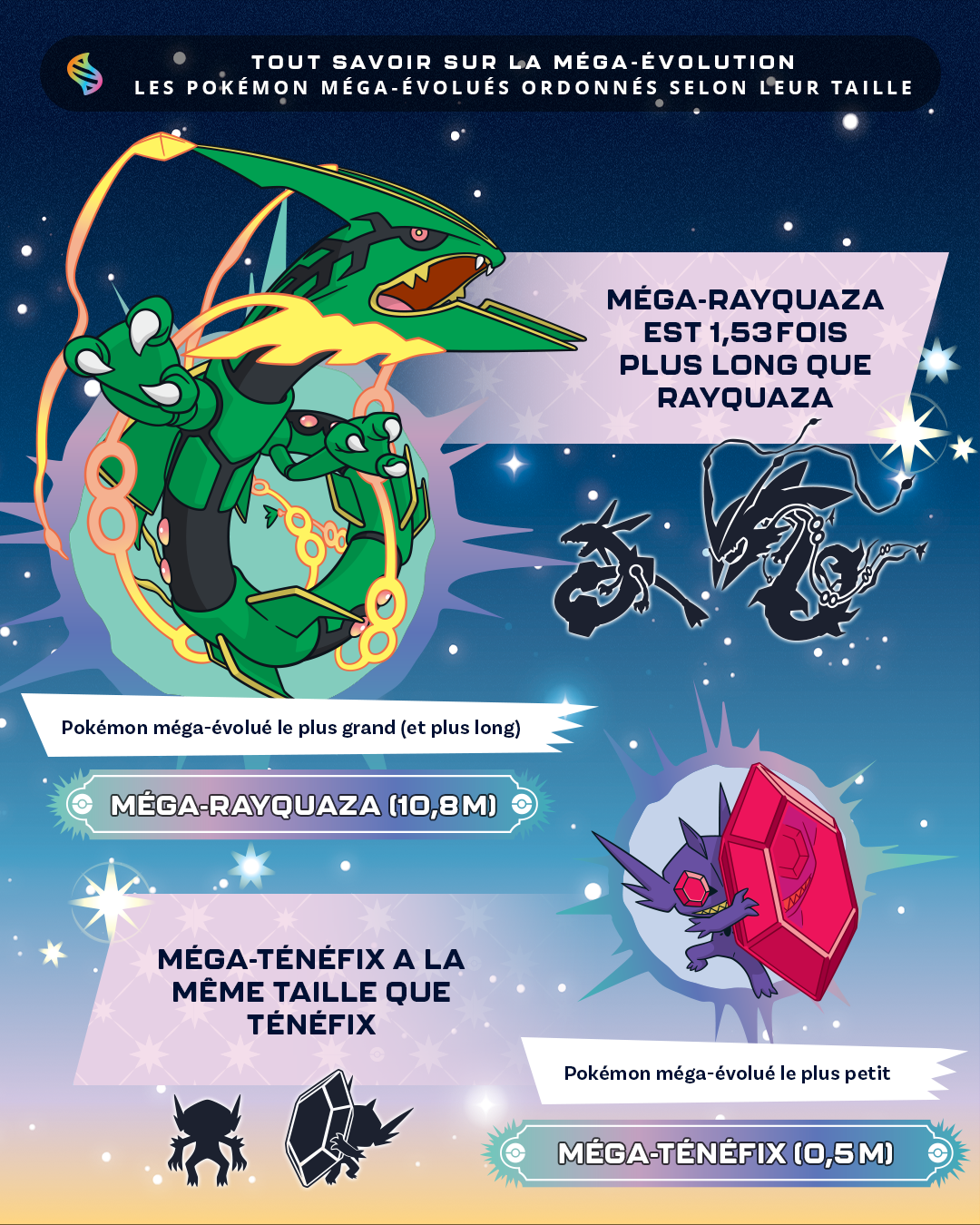 L’infographie méga-géniale et méga-complète sur la Méga-Évolution ...