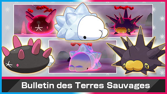 Croisez Concombaffe, Wattapik et Frissonille dans les raids Dynamax ...