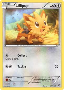Lillipup | Black & White | TCG Card Database | Pokemon.com
