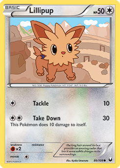 Lillipup | Black & White—Dark Explorers | TCG Card Database | Pokemon.com