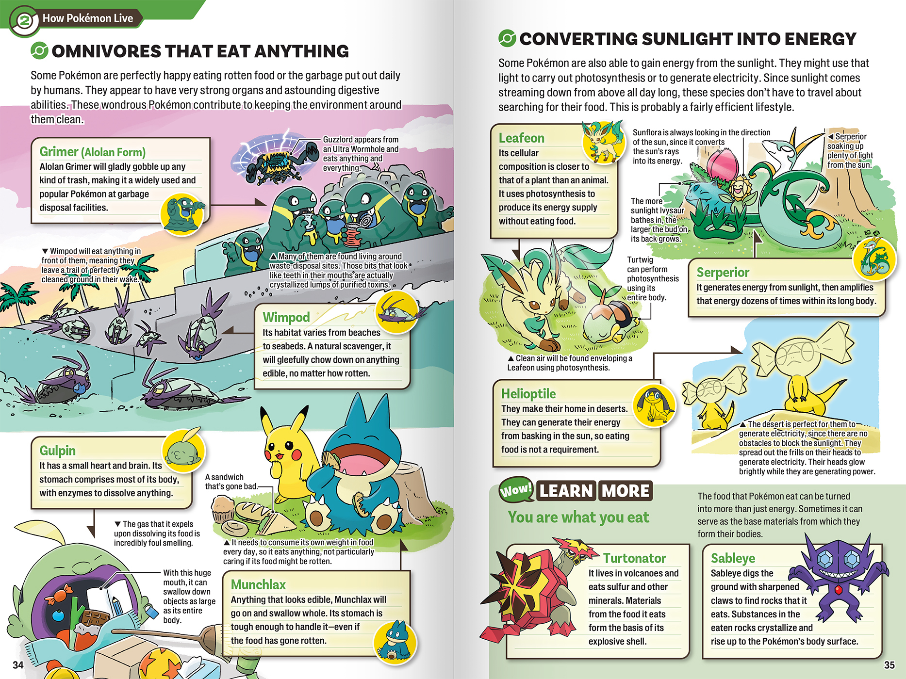Preorder the Upcoming Book, Pokécology: An Illustrated Guide to Pokémon ...