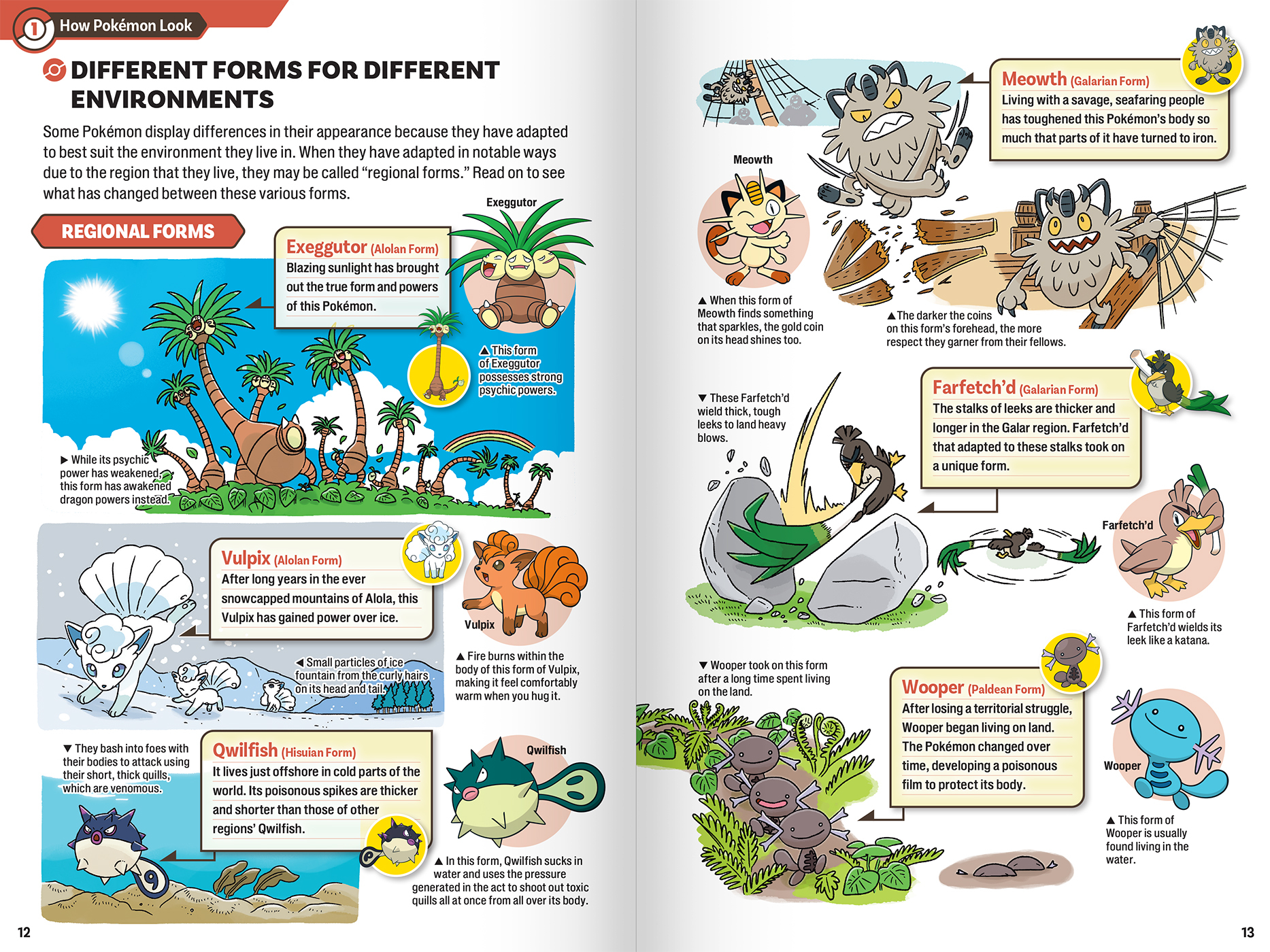 Preorder the Upcoming Book, Pokécology: An Illustrated Guide to Pokémon ...