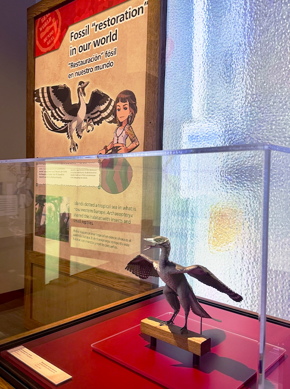 The Pokémon Fossil Museum is Now Open | Pokemon.com