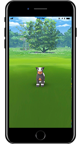 Master Pokémon GO Research | Pokemon.com