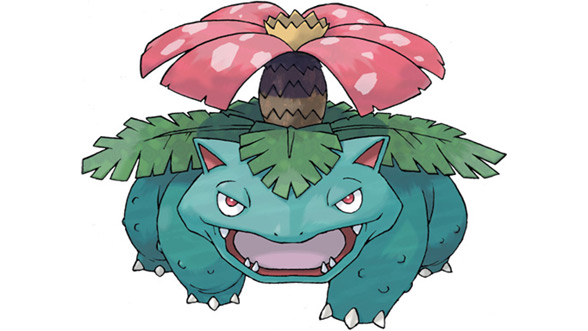 pokemon burning leaf