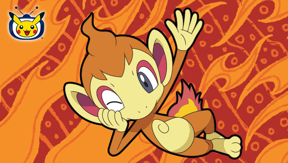 Watch Chimchar in Pokémon the Series on Pokémon TV | Pokemon.com