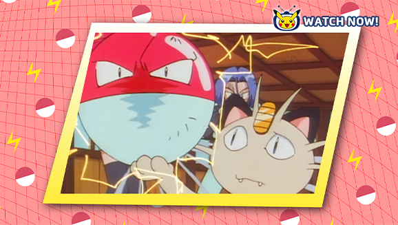 Electrifying Voltorb Delivers Explosive Fun on Pokémon TV | Pokemon.com