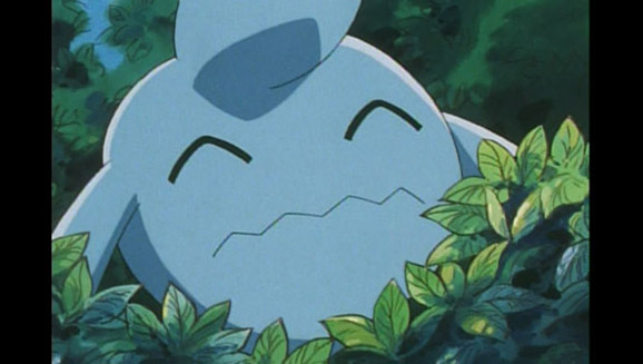 Why? Wynaut | Pokemon.com