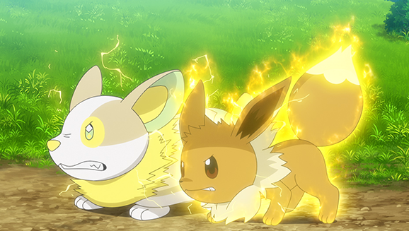 To Train, or Not to Train! | Pokemon.com